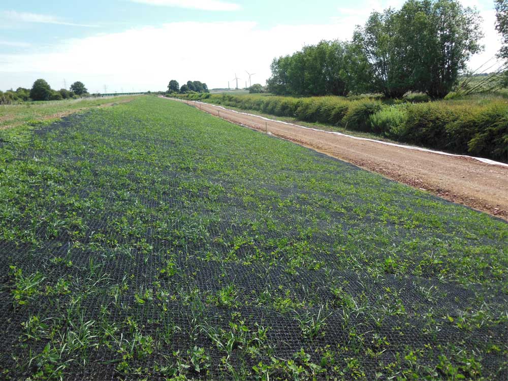 Erosion Control - Geotexan